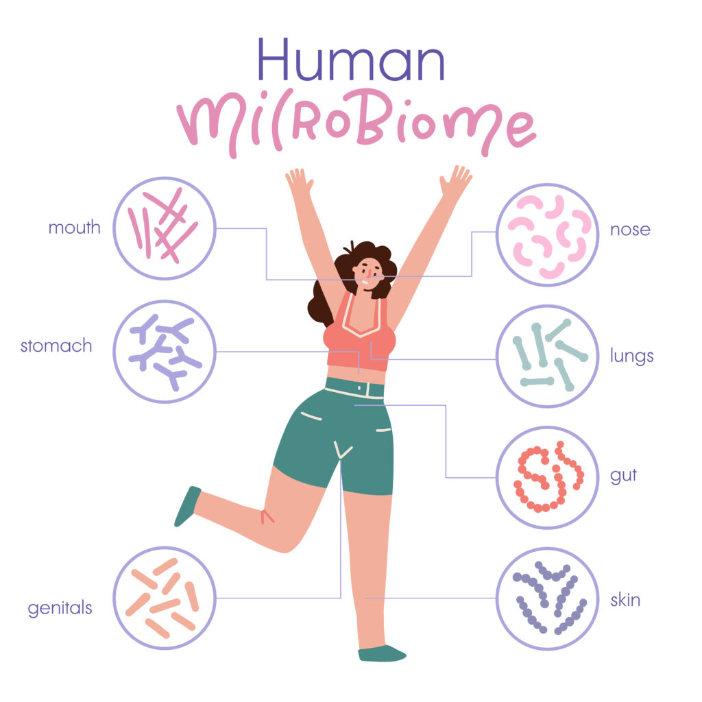 What is the Human Microbiome, and Why Does It Matter? - Australian ...